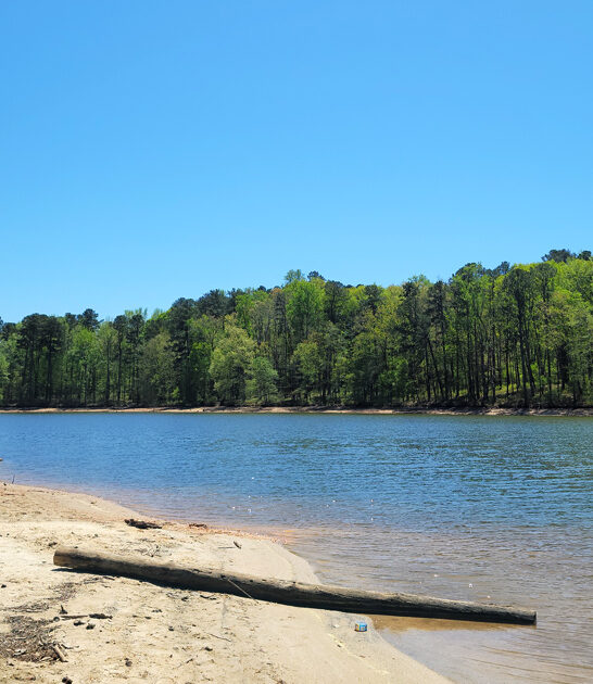 lakeside beaches georgia ftr