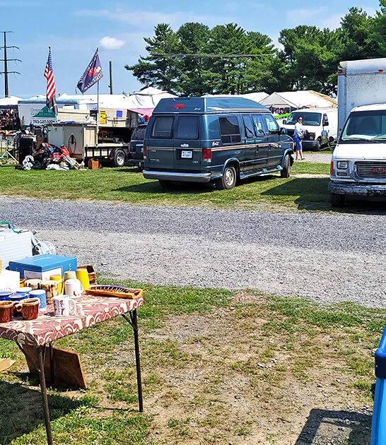massive bargain market virginia ftr