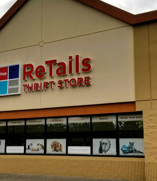 massive bargain store washington ftr