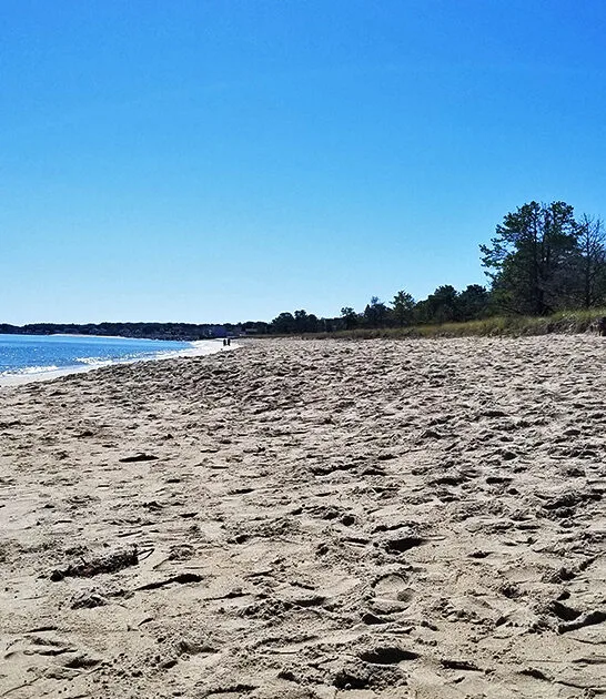 mighty state park saco me ftr