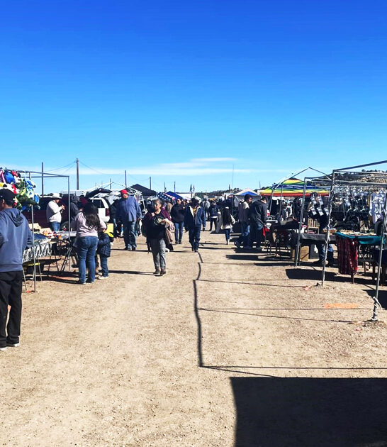 new mexico bargain hunting FTR