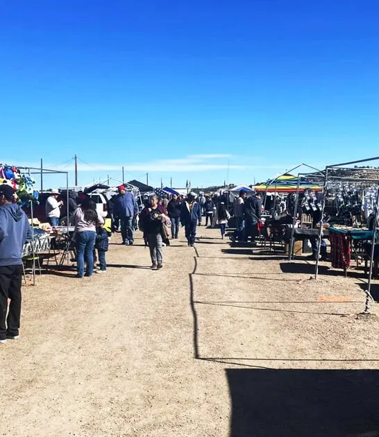 new mexico bargain hunting FTR