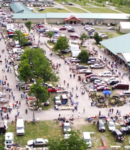 new york bargain markets ftr