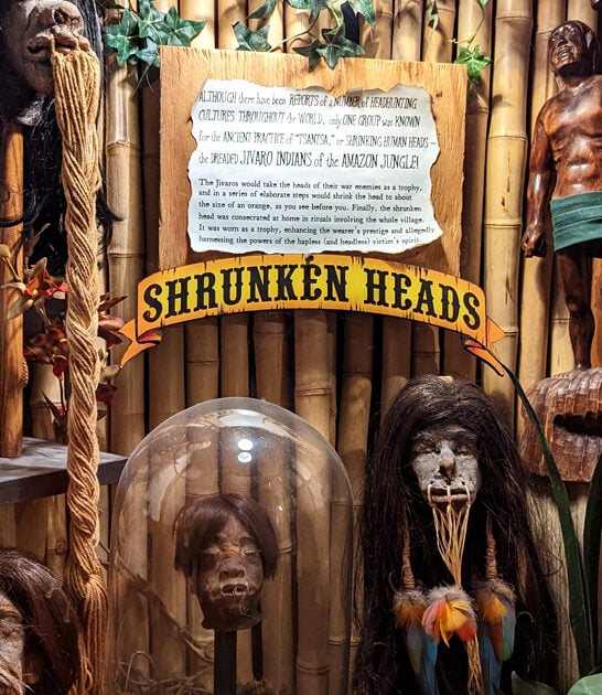 otherworldly museum austin tx ftr