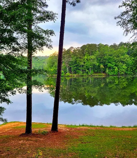 picturesque state park alabama FTR