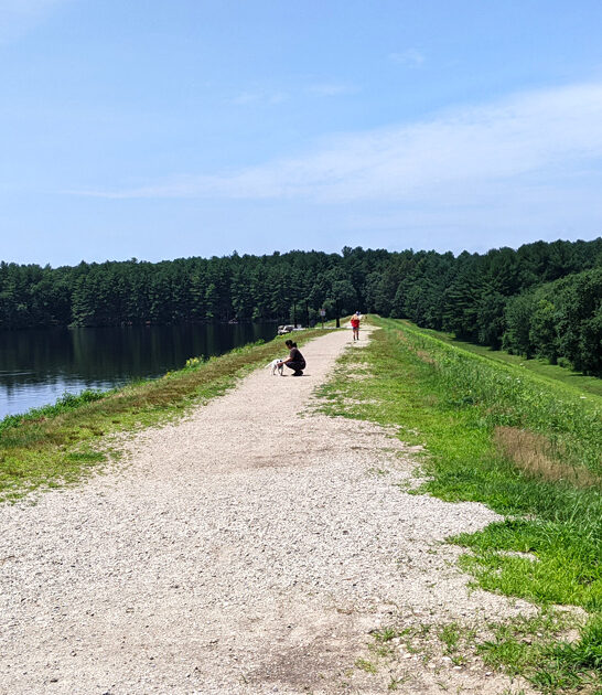 picturesque state park massachusetts ftr