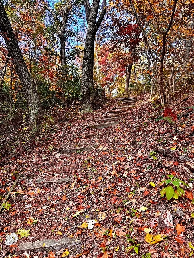 Autumn's paintbrush transforms this trail into a Technicolor dream. Who needs yellow brick roads when you've got this?