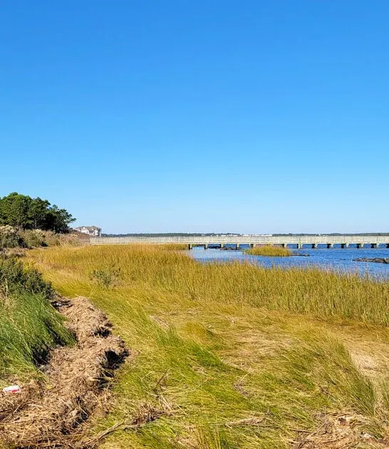 underrated state park delaware ftr