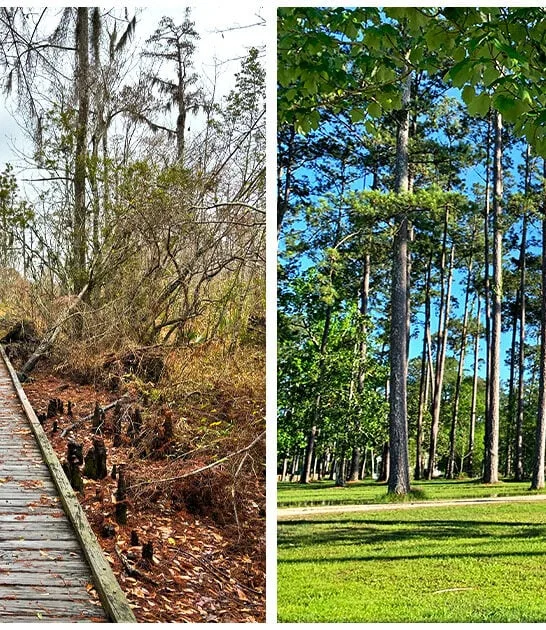 underrated state park louisiana ftr