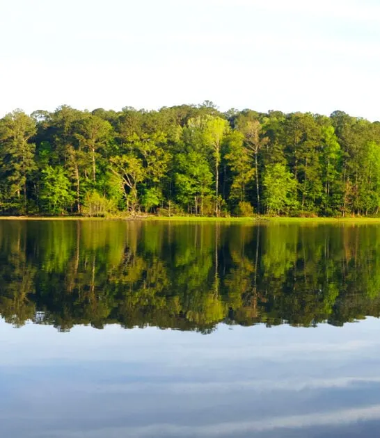 underrated state park mississippi ftr
