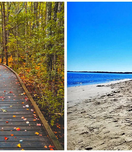 underrated state park saco me ftr