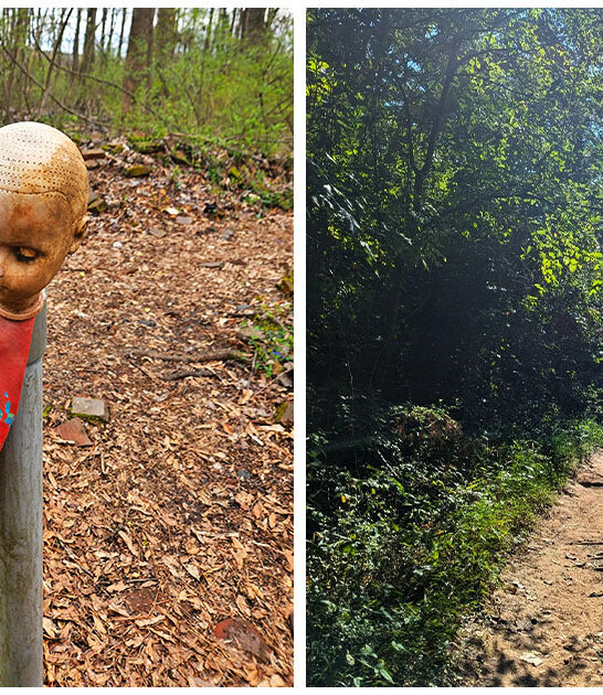 wonderfully odd trail atlanta ga ftr