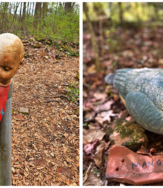 wonderfully odd trail georgia ftr