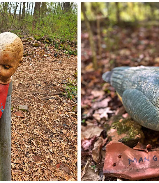 wonderfully odd trail georgia ftr