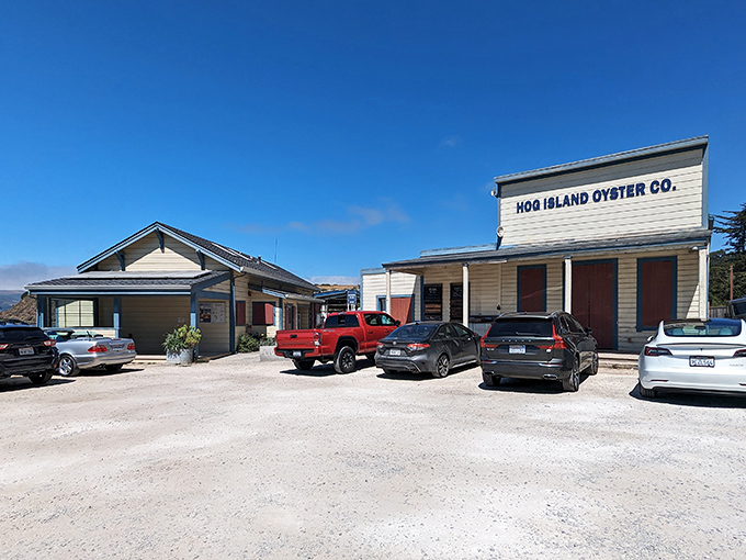Welcome to seafood paradise! Hog Island Oyster Co. stands proud, a beacon of briny delights nestled in the heart of Marshall.