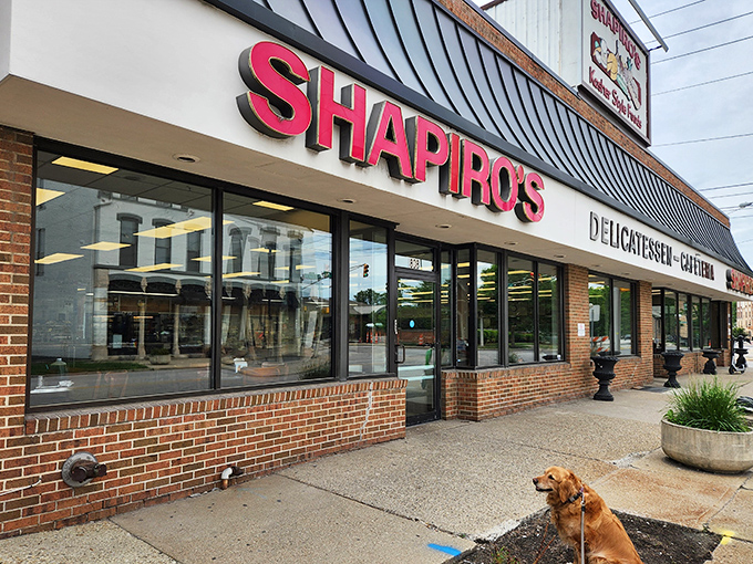 A neon sign that could guide hungry sailors home: Shapiro's Delicatessen, a beacon of comfort food in Indianapolis since 1905.
