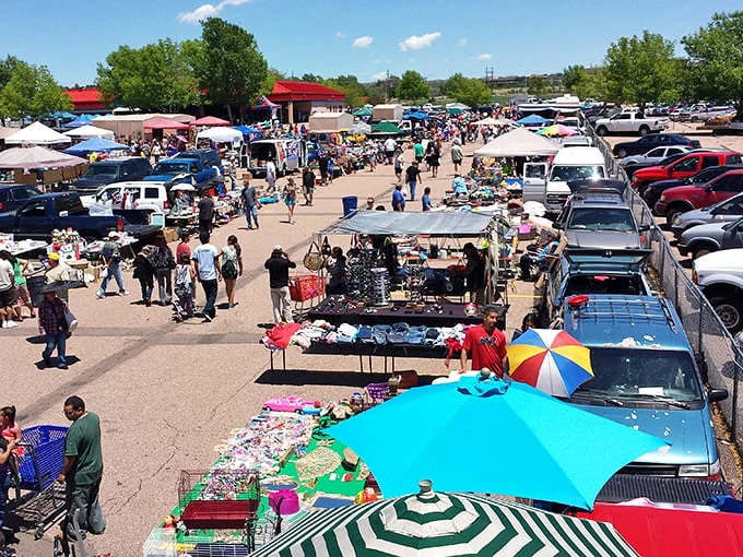 A treasure hunter's paradise unfolds beneath the Colorado sky. Blue tents stretch as far as the eye can see, promising adventures and unexpected finds at every turn.
