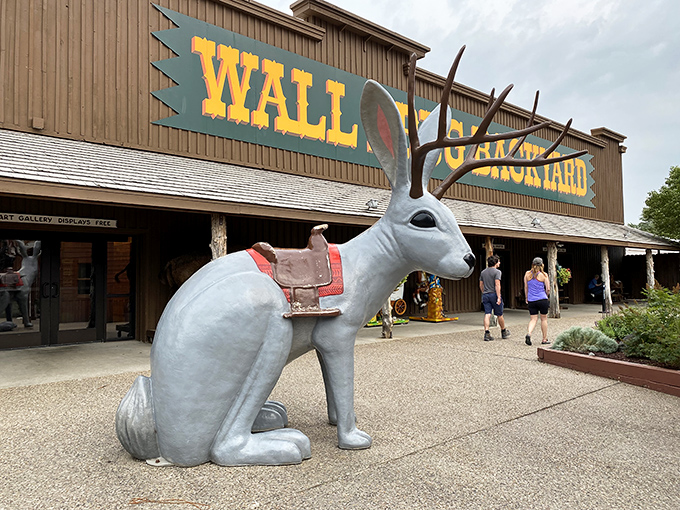 Welcome to Wall Drug, where the jackalopes roam free and the Wild West meets Willy Wonka! This giant rabbit statue is just the beginning of the whimsical wonders awaiting inside.