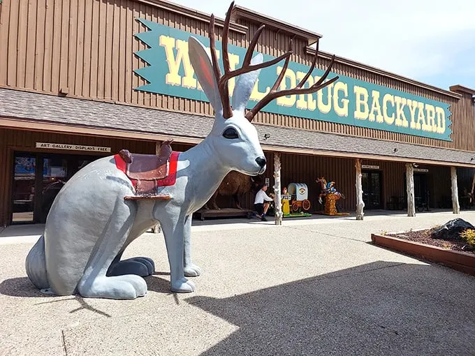 Welcome to Wall Drug, where the jackalopes roam free and the Wild West meets Willy Wonka! This giant rabbit statue is just the beginning of the whimsical wonders awaiting inside.