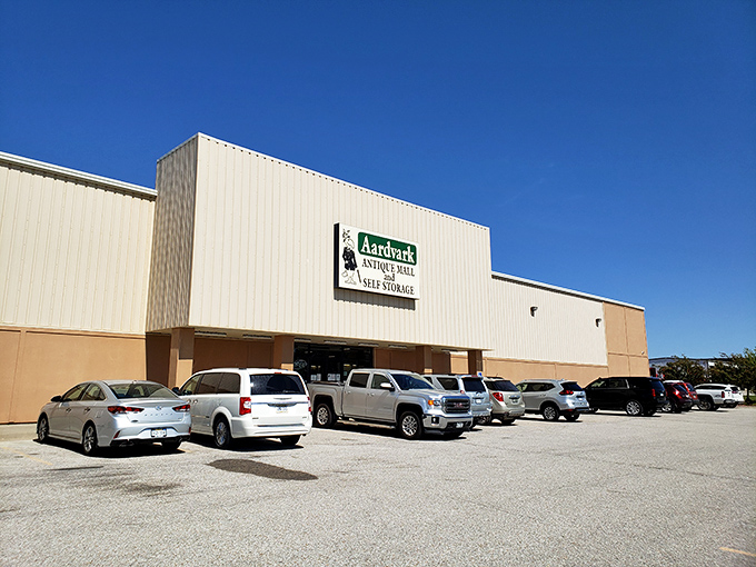 Welcome to Aardvark Antique Mall, where time travel is just a step through these doors. Prepare for a journey through decades of nostalgia and quirky treasures!