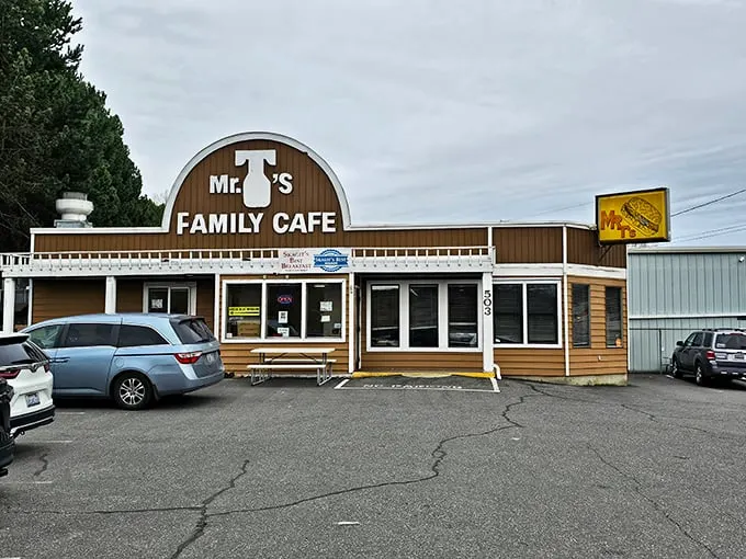 Welcome to carb heaven! Mr T's Family Cafe stands proud, a beacon of comfort food in Mount Vernon. It's like your grandma's house, if grandma could feed an army.