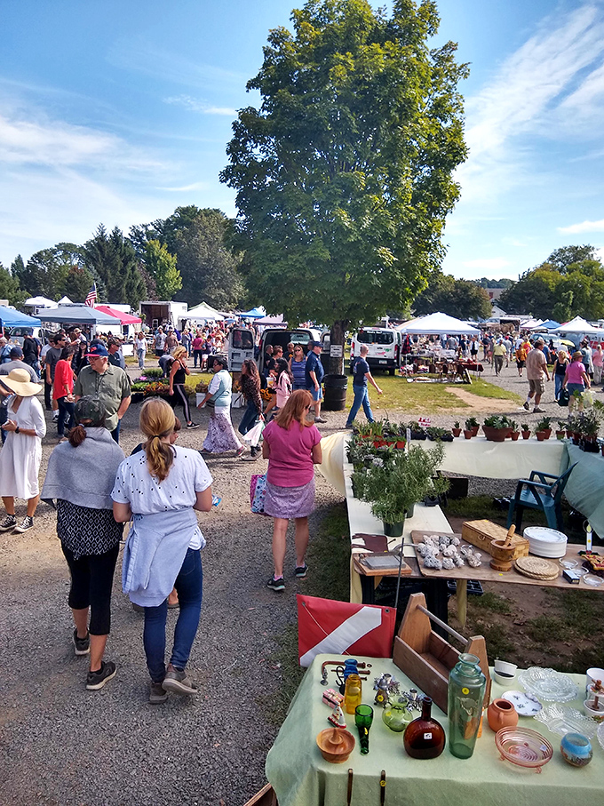 A sea of treasures awaits! Colorful tents and eager bargain hunters dot the landscape, promising a day of discovery and delight at the Elephant's Trunk Flea Market.