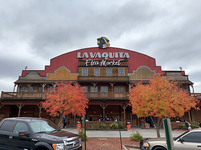 Welcome to La Vaquita, where the Wild West meets bargain-hunting paradise! This red barn facade promises treasures as vast as the Georgia sky.
