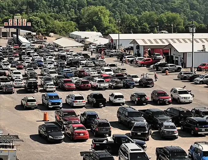 The sprawling Tri-Cities Flea Market awaits treasure hunters with its massive parking lot—a telltale sign you've arrived somewhere special.
