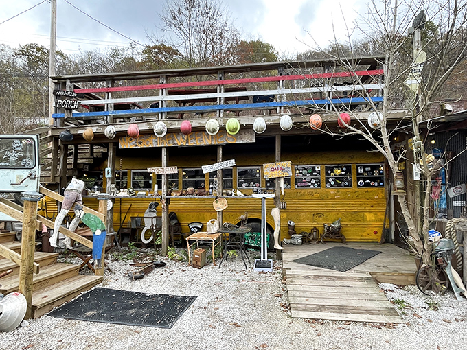 Welcome to Hillbilly Hot Dog heaven! This rustic roadside attraction is where gourmet meets gravel, and every bite tells a deliciously quirky story.
