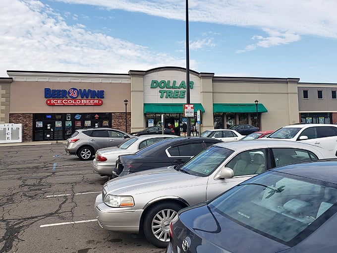 The emerald beacon of bargains stands proud on Wilkes Barre Township Boulevard, promising treasures that won't pillage your wallet.