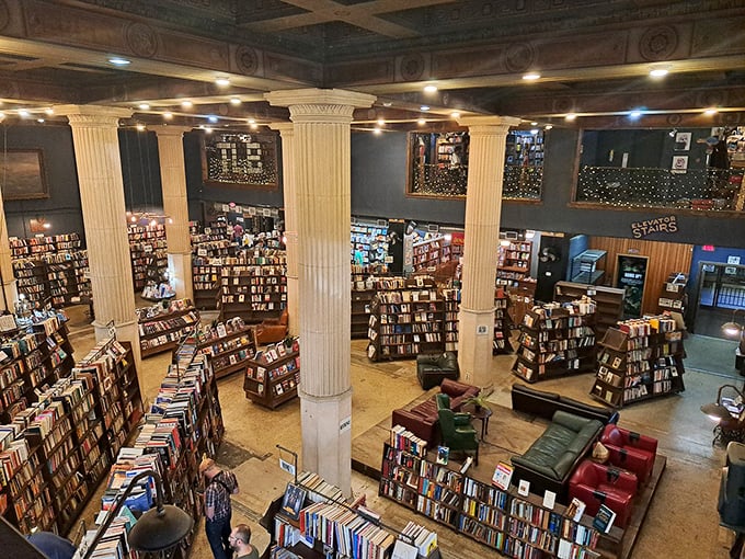 Welcome to the literary Colosseum! Where books are the gladiators and your imagination is the emperor. Let the reading games begin!