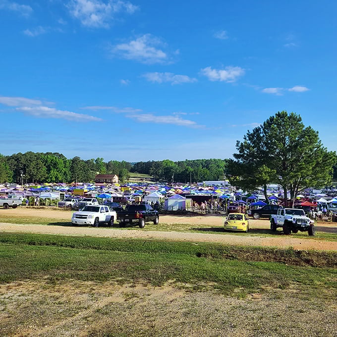 A sea of tents and treasures awaits! Mountain Top Flea Market sprawls across the Alabama countryside like a bargain hunter's Disneyland. Who needs roller coasters when you've got the thrill of the find?