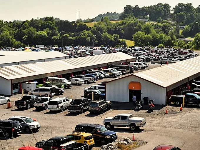 The sprawling Tri-Cities Flea Market awaits treasure hunters with its massive parking lot—a telltale sign you've arrived somewhere special.