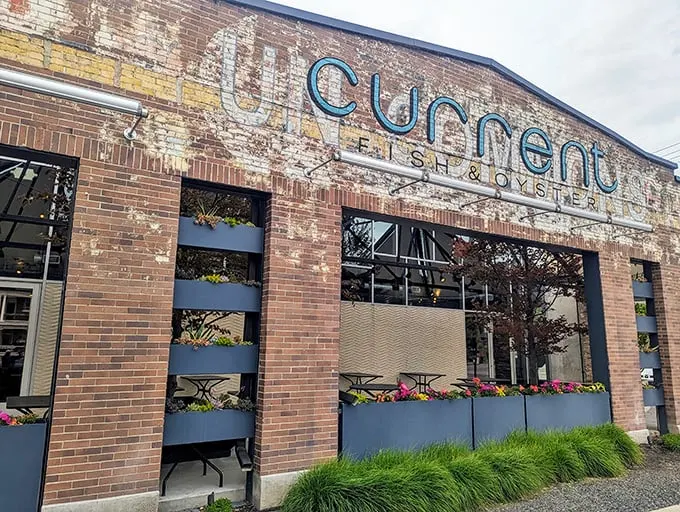 A seafood oasis in the desert? Current Fish & Oyster's rustic-chic exterior promises a wave of culinary delights inside. Who knew Salt Lake City could be so… current?