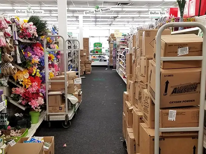 Bloom where you're planted, especially if it's in the Dollar Tree! This floral section brings budget-friendly beauty to any space.