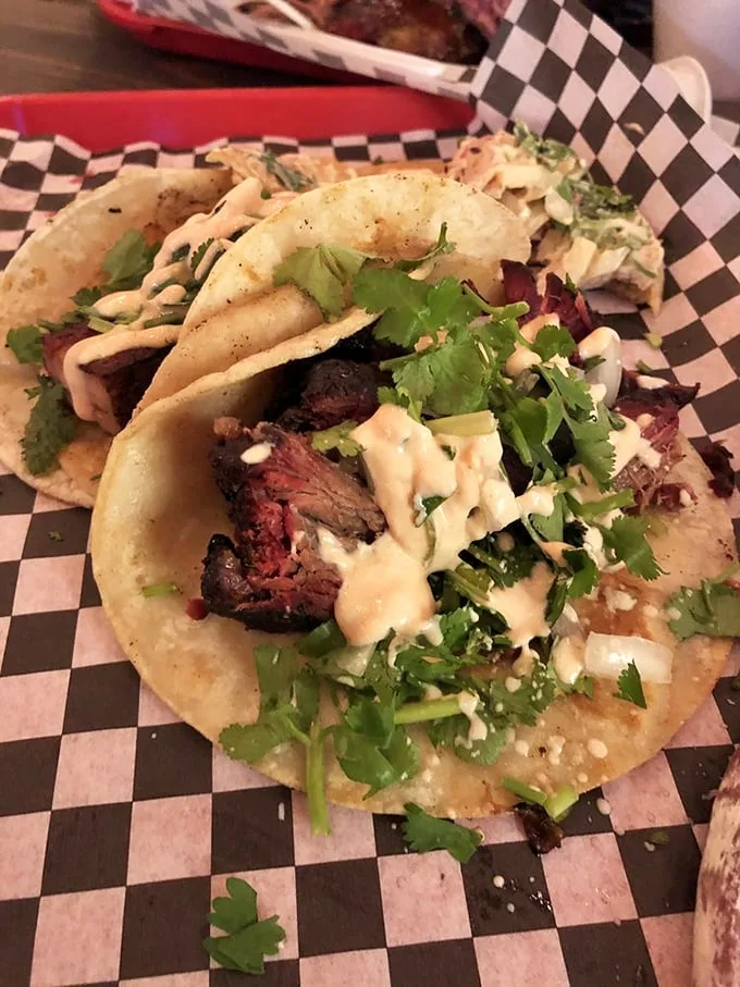 BBQ tacos—where Texas meets Mexico in a handshake of deliciousness. The cilantro and sauce drizzle aren't just garnish; they're essential diplomatic relations.