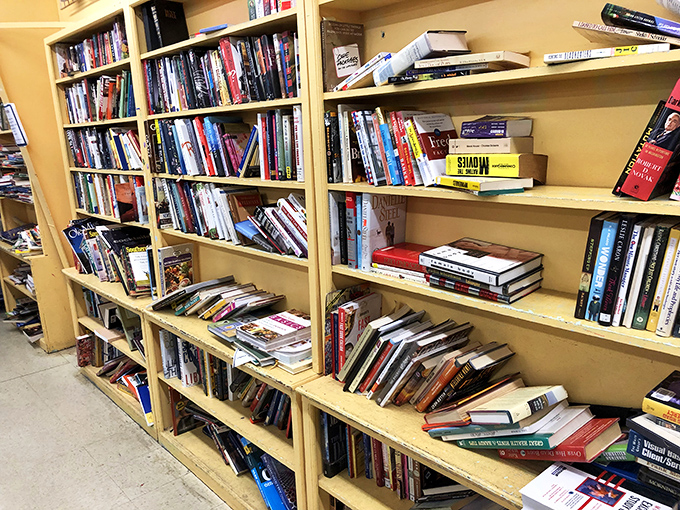 Books stacked like literary lasagna—layers of stories, knowledge, and adventures waiting to be devoured for mere pocket change.