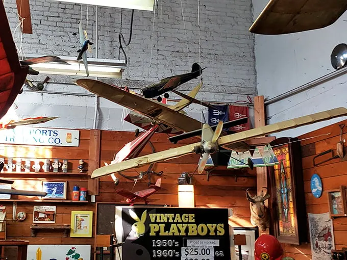 Look, up in the sky! It's a bird, it's a plane, it's... actually a plane. Vintage aviation meets whimsical decoration in this high-flying display.