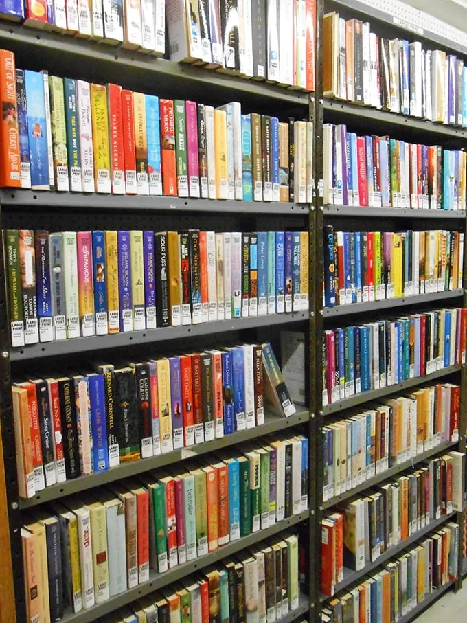 Fiction as far as the eye can see. It's like Netflix, but with that satisfying paper smell and no "Are you still watching?" prompts.
