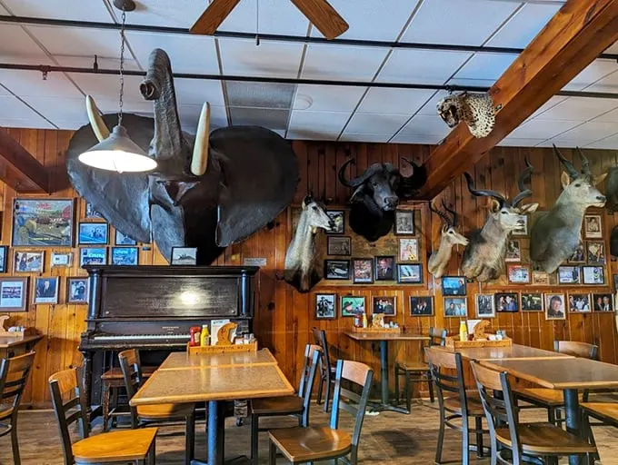Wall-to-wall wonders! Ole's decor is a feast for the eyes. It's where "I spy" meets "medium rare" in the most delightful way.