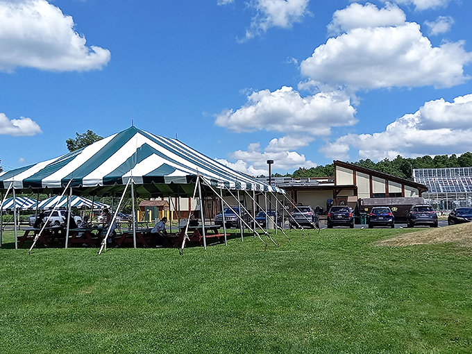 Verrill Farm: Where "farm-to-table" isn't just a buzzword, it's a way of life. Imagine a farmers market had a baby with Eden – that's Verrill Farm.