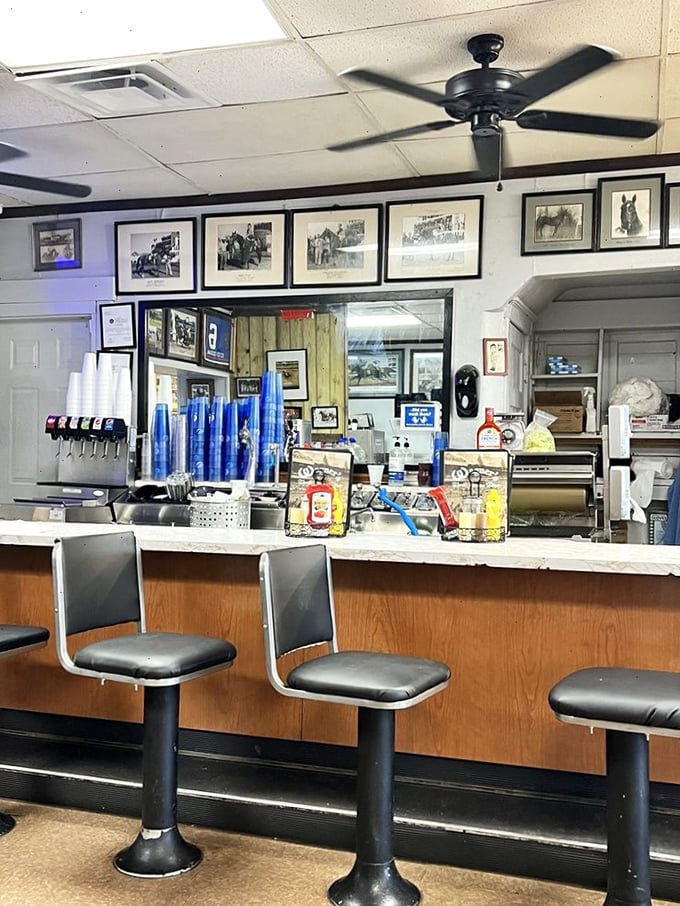 Pull up a stool and place your order: This counter has heard more racing tips than a bookie on Derby Day.