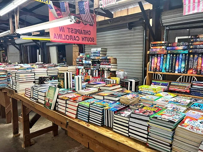 Bookworm's bonanza! This literary feast could give the Library of Congress a run for its money. Time to judge some books by their covers!