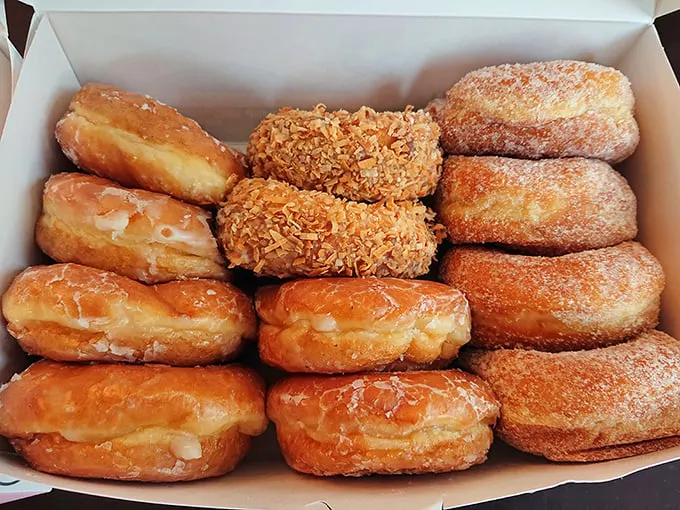 A box of joy! This dozen assorted donuts is like a treasure chest of fried gold – each one a delicious adventure waiting to be discovered.
