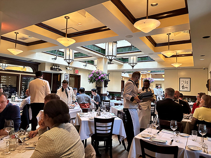 The dining room hums with the energy of celebration, tradition, and the shared understanding that dinner isn't just food—it's theater.