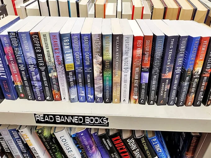 Mystery lovers, your next case awaits! William Kent Krueger's novels promise twists, turns, and page-turning suspense.