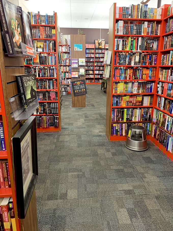 A feast for the eyes and the mind! These bookshelves are like an all-you-can-read buffet, where every genre is the main course.