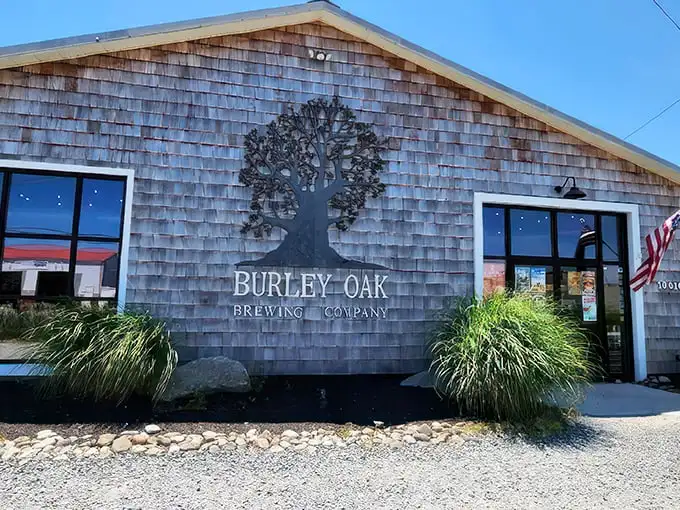 Burley Oak's rustic cedar-shingled brewery has become a pilgrimage site for craft beer enthusiasts. That metal tree artwork isn't just decoration—it's a philosophy.