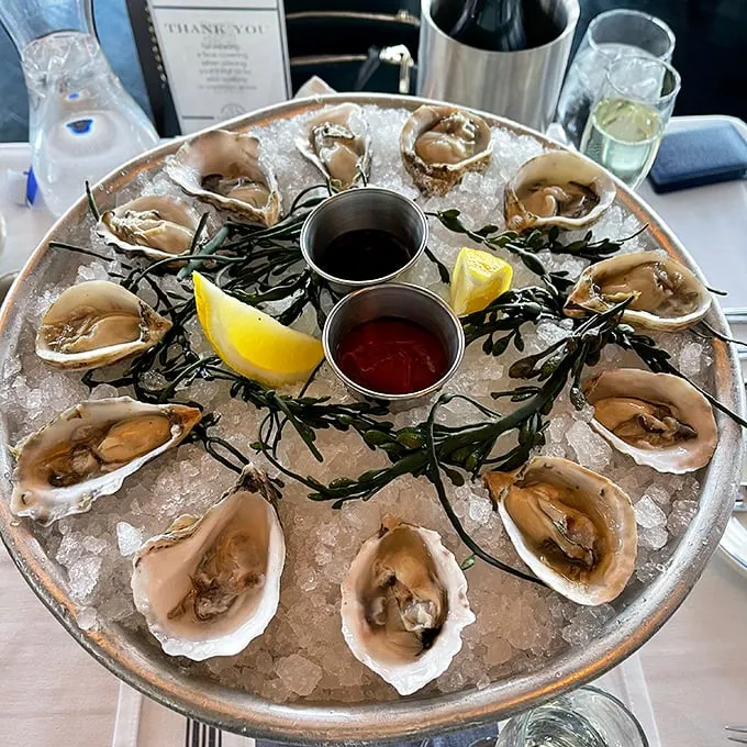 Oysters on ice, looking oh-so-nice! These briny beauties are ready for their close-up – and your taste buds.