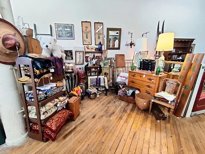 A cozy corner that's part time machine, part treasure chest. It's like your grandma's attic, but with price tags.